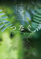 プリザーブドフラワーのFlorever：2024-2025年商品カタログ