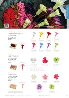 プリザーブドフラワーのFlorever：2024-2025年商品カタログ