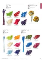 プリザーブドフラワーのFlorever：2024-2025年商品カタログ