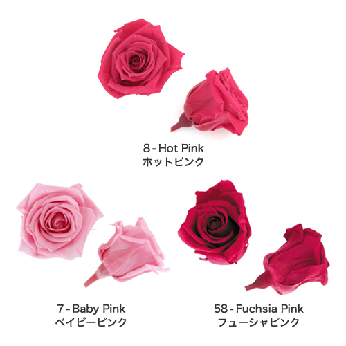 Rose | Preserved Flowers - Florever