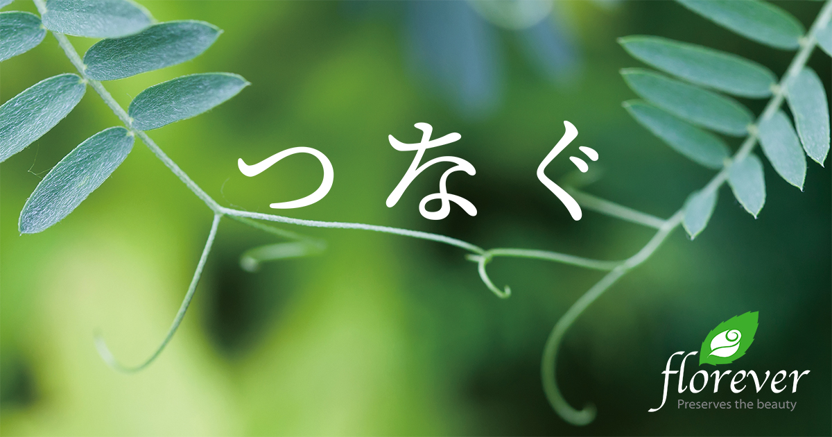 TREND COLORS 2024-2025 カラーコンビネーションご提案｜florever（フロールエバー）